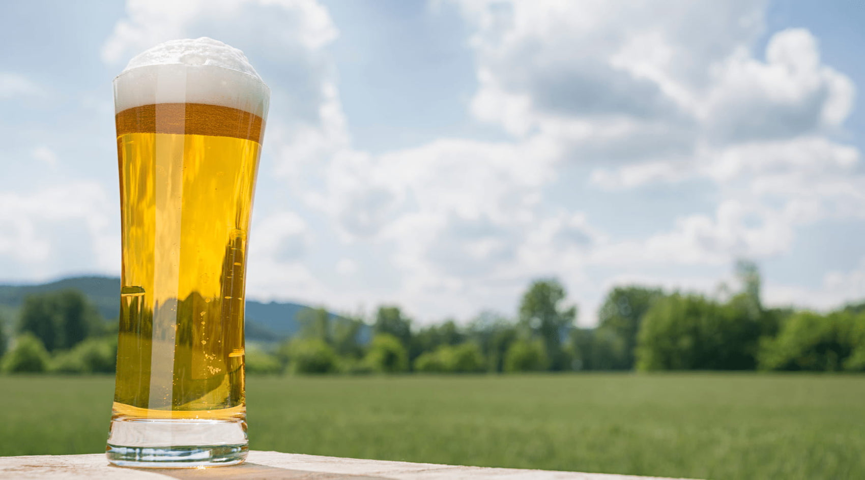 What Is a Lager? | The Chilly History of Crisp Beers – Happenstence®